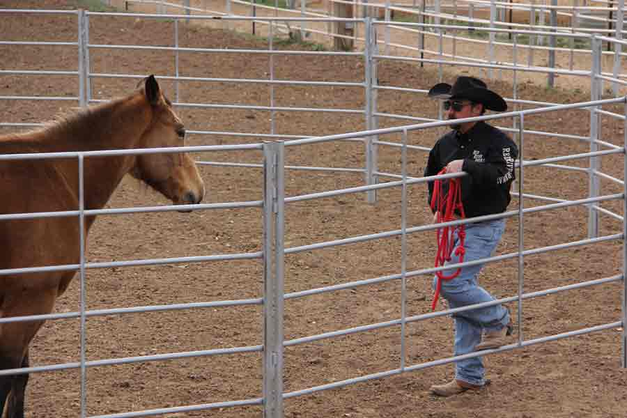 Round Pens from Red River Arenas | Round Pens for Sale